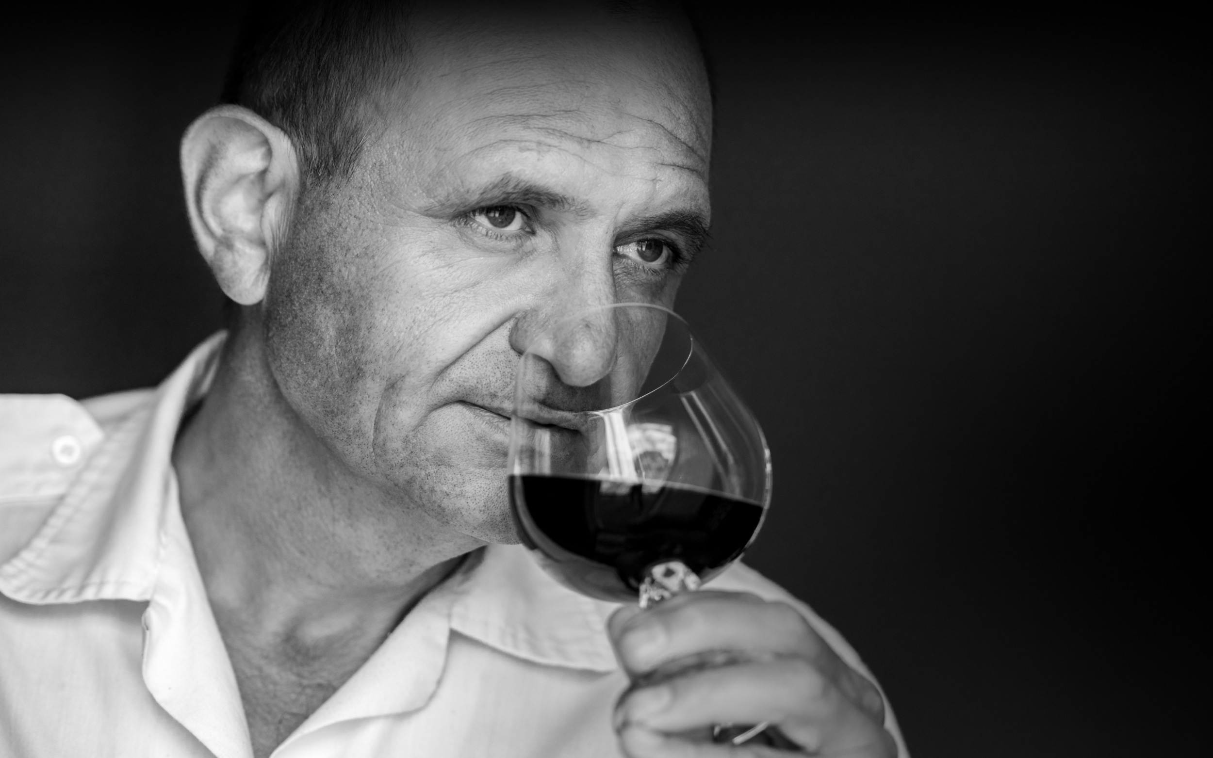 Nicolas Morlet | Winemaking Consultancy